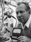 Scientology Mythbusting with Jon Atack: The Tomato Photo! | The ...